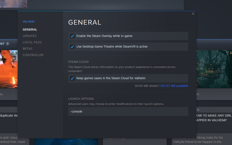 How to save your Valheim world on a dedicated server using console commands. - Xgamingserver