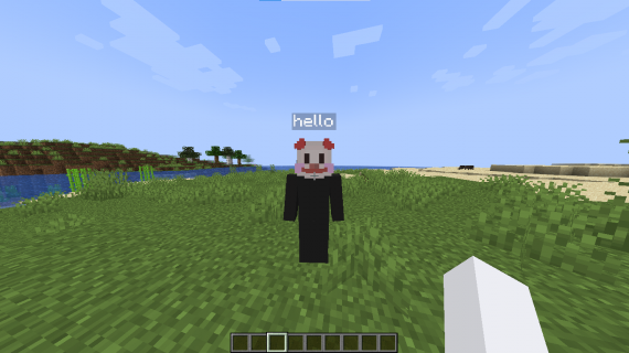 How to create NPCs in your Minecraft server - XGamingServer